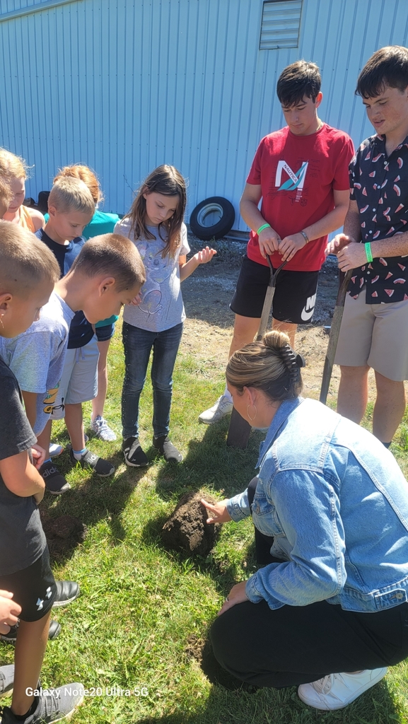 Live Feed | Flanagan-Cornell Unit 74